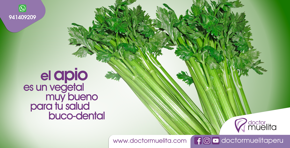 apio - Doctor Muelita