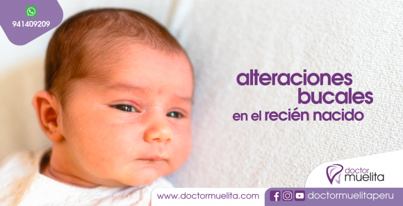 perlas de epstein archivos - Clínica Doctor Muelita